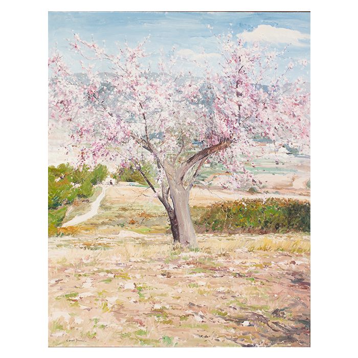 38-JORGE F. CERDÁ GIRONÉS (Alicante 1953) Almendro en flor.c.1987 Óleo ...